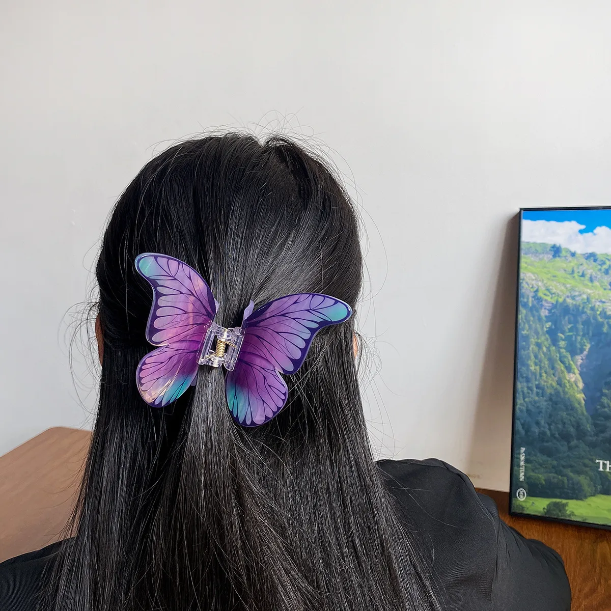 Wholesale Women's Simple Style Butterfly Arylic Hair Claws ...